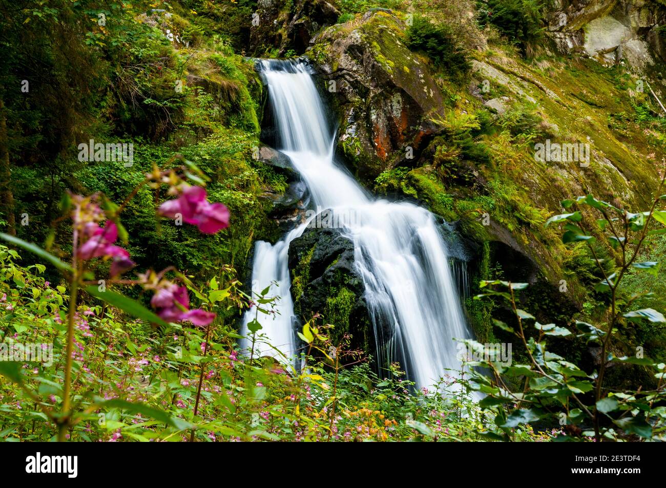 A section of Germany's highest waterfall at Triberg in the Black Forest ...