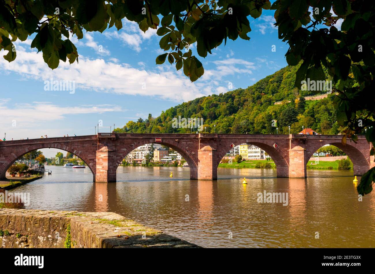 The arches of the Alte Brücke (old bridge) spanning the brown waters of ...