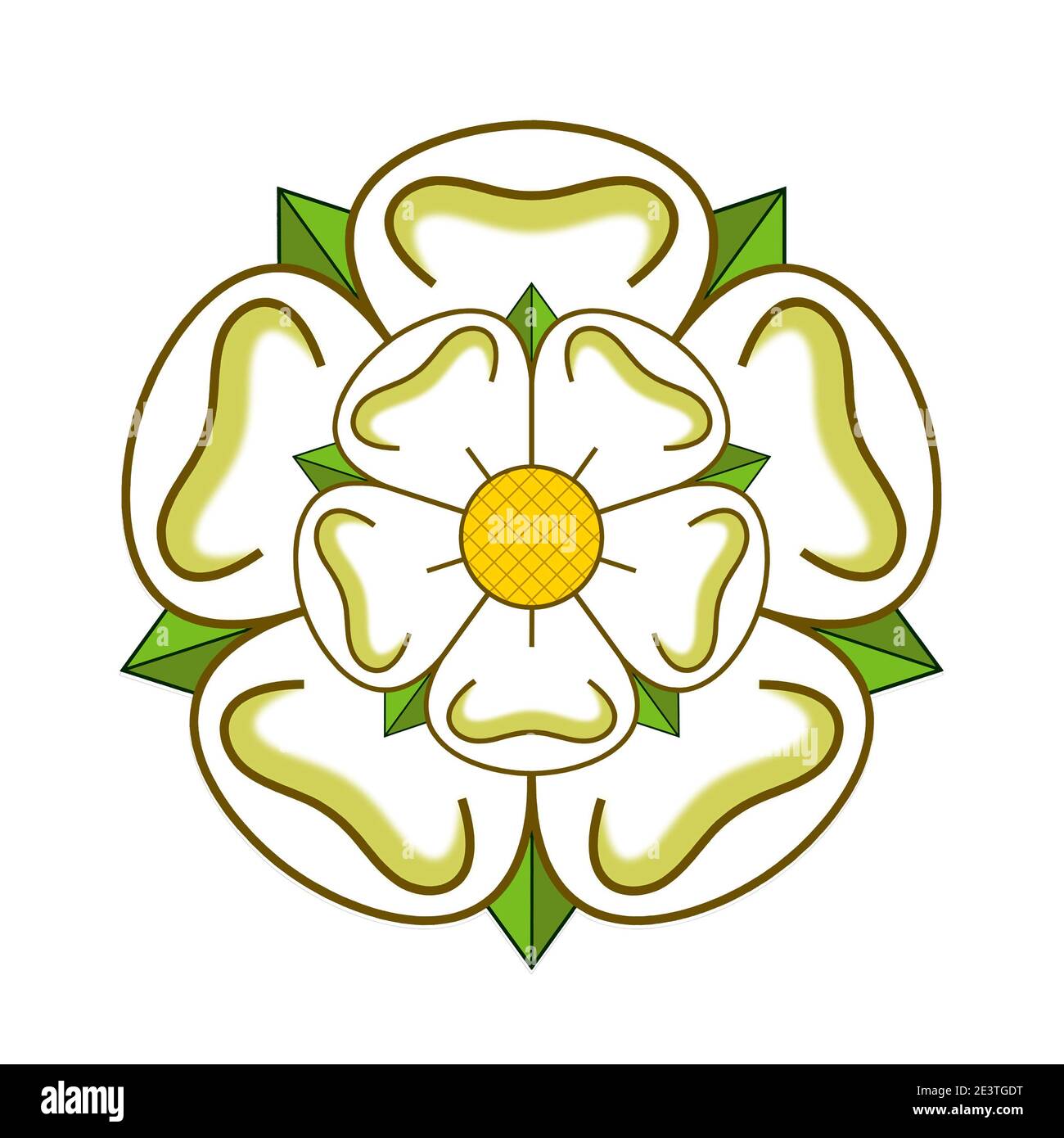 Yellow english rose Cut Out Stock Images & Pictures - Alamy