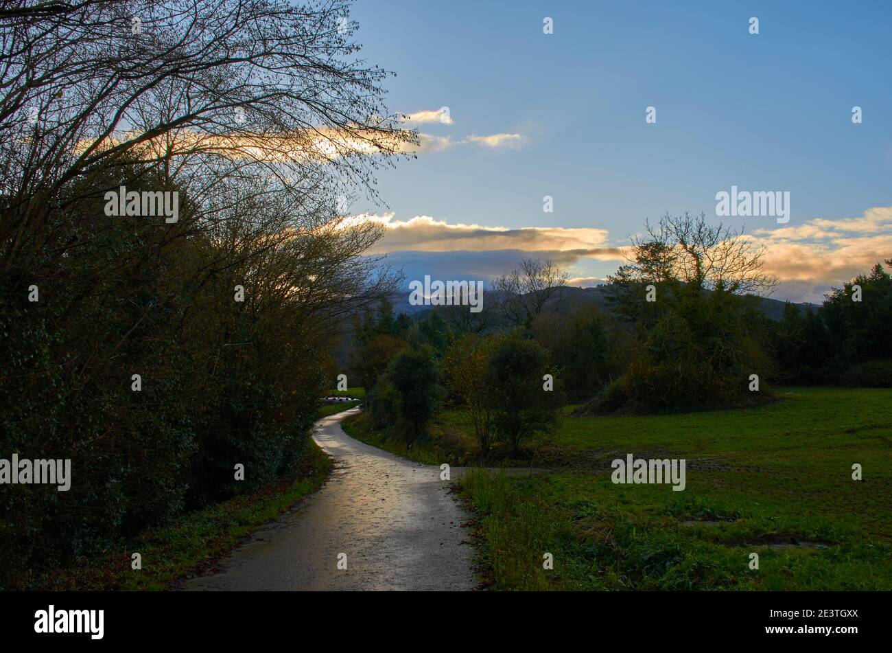 A typical landscape of northern Spain with evergreen meadows Stock ...