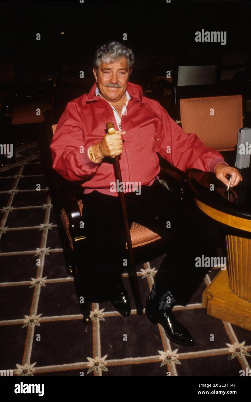 DALE ROBERTSON Credit: Ralph Dominguez/MediaPunch Stock Photo - Alamy