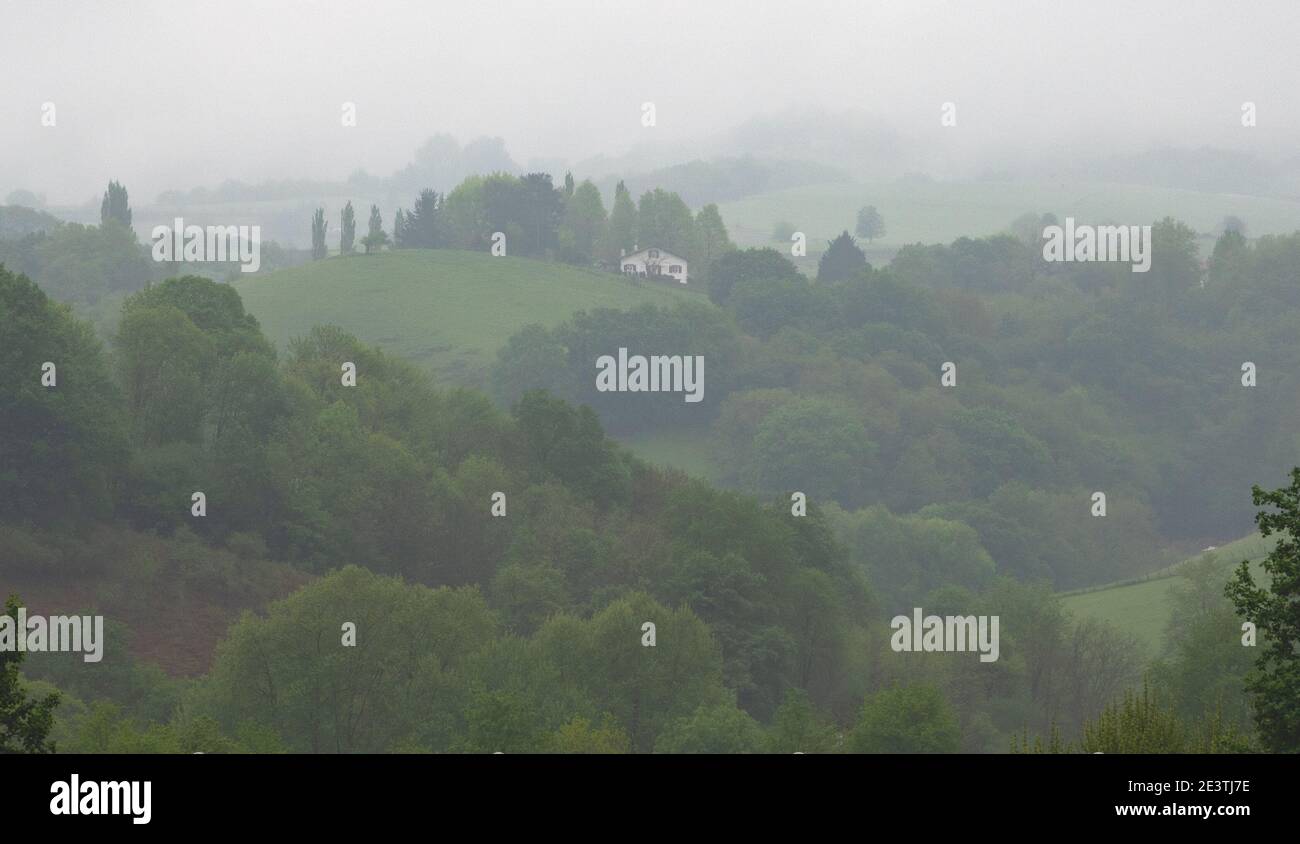 Misty morning landscape in French Basque country. Traditional farmhouse ...