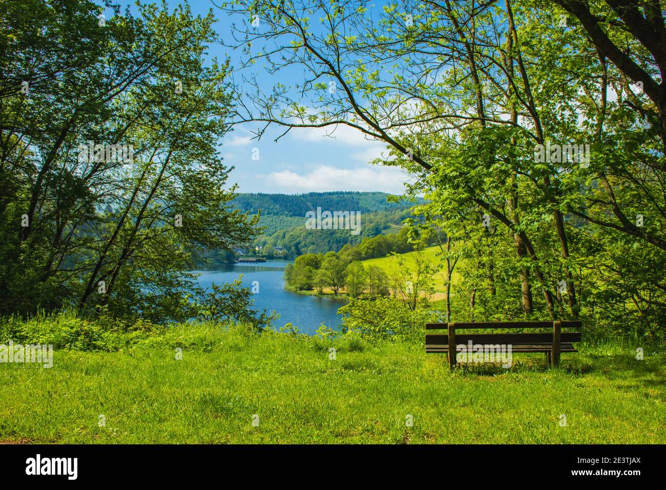 Rursee at Eifel National Park, Germany. Scenic view of lake Rursee and ...