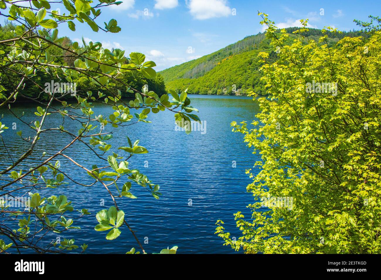 Rursee at Eifel National Park, Germany. Scenic view of lake Rursee and ...