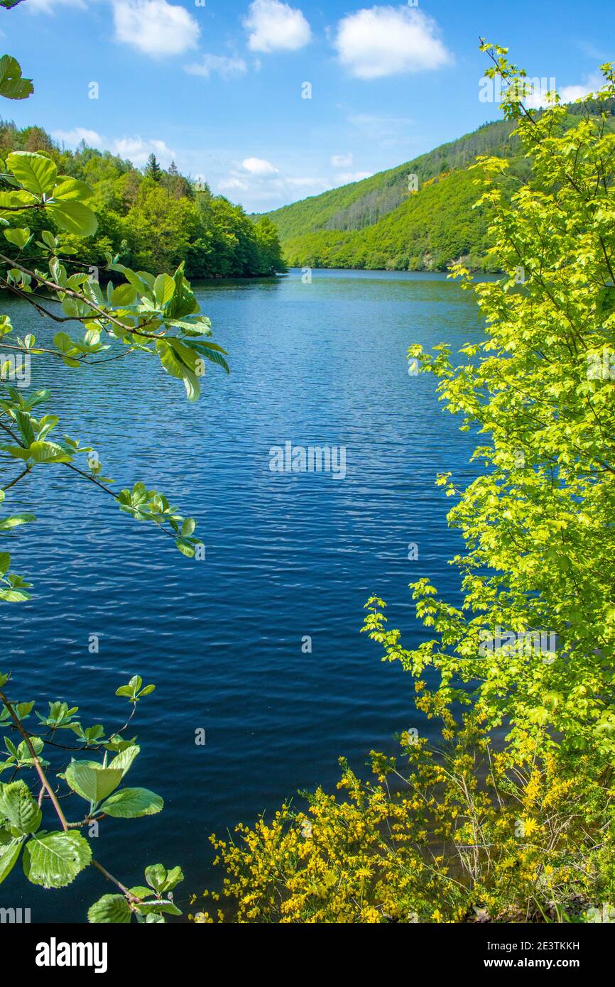 Rursee at Eifel National Park, Germany. Scenic view of lake Rursee and ...