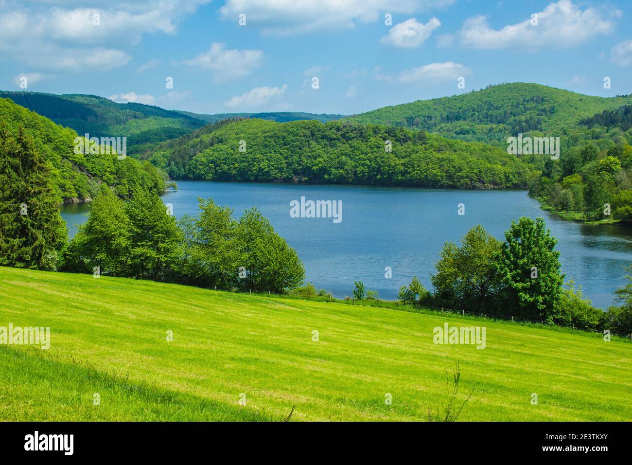 Rursee at Eifel National Park, Germany. Scenic view of lake Rursee and ...