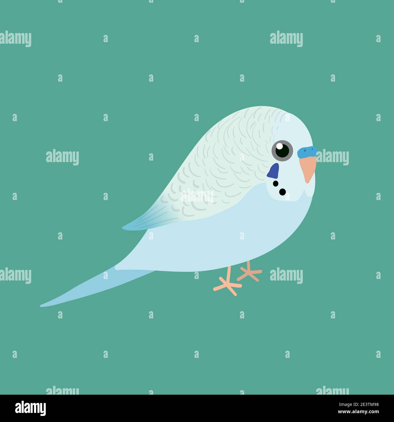 Bird budgerigar blue pet Stock Vector Images - Alamy
