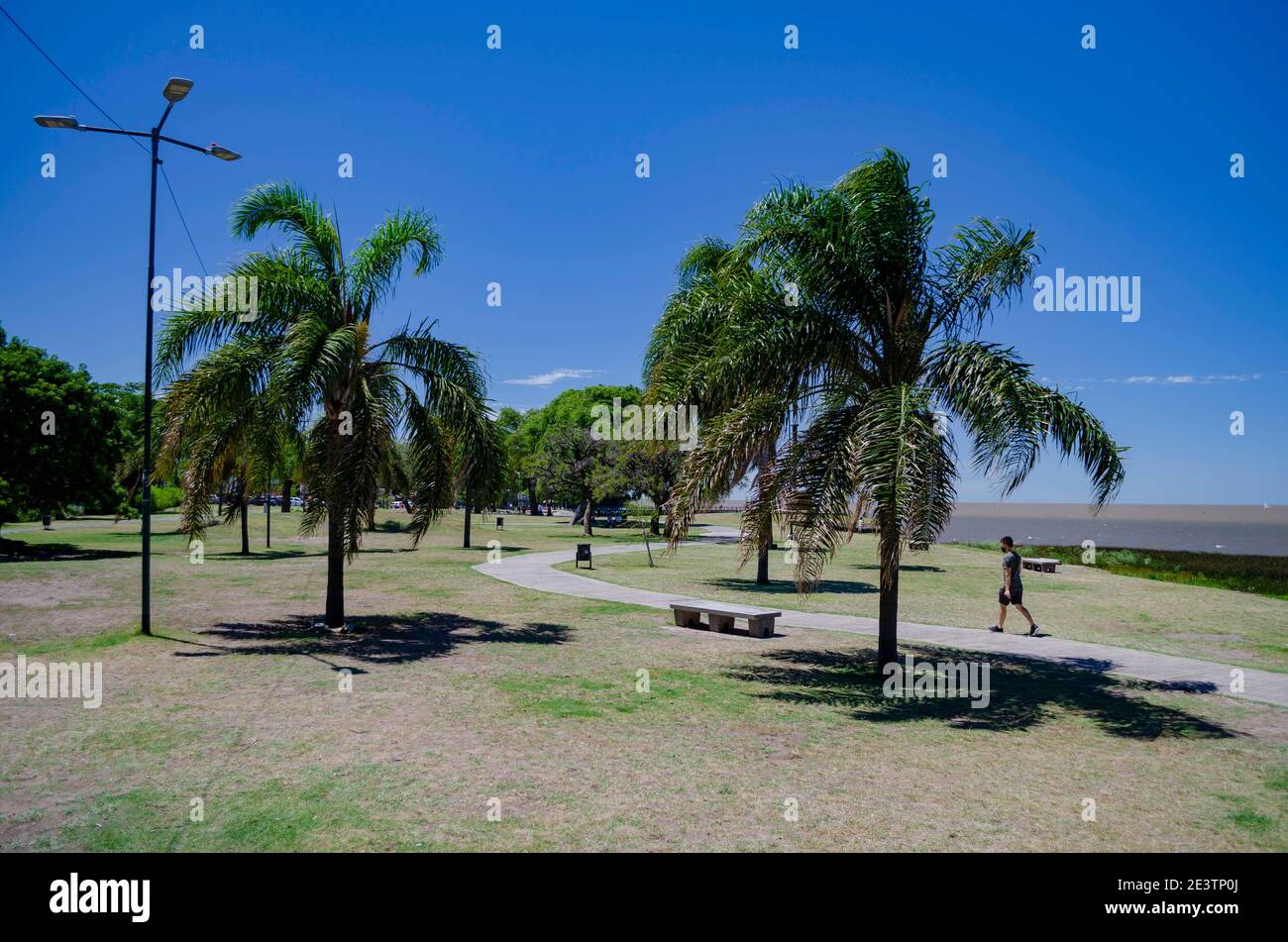 Person walking in sunny park hi-res stock photography and images - Alamy