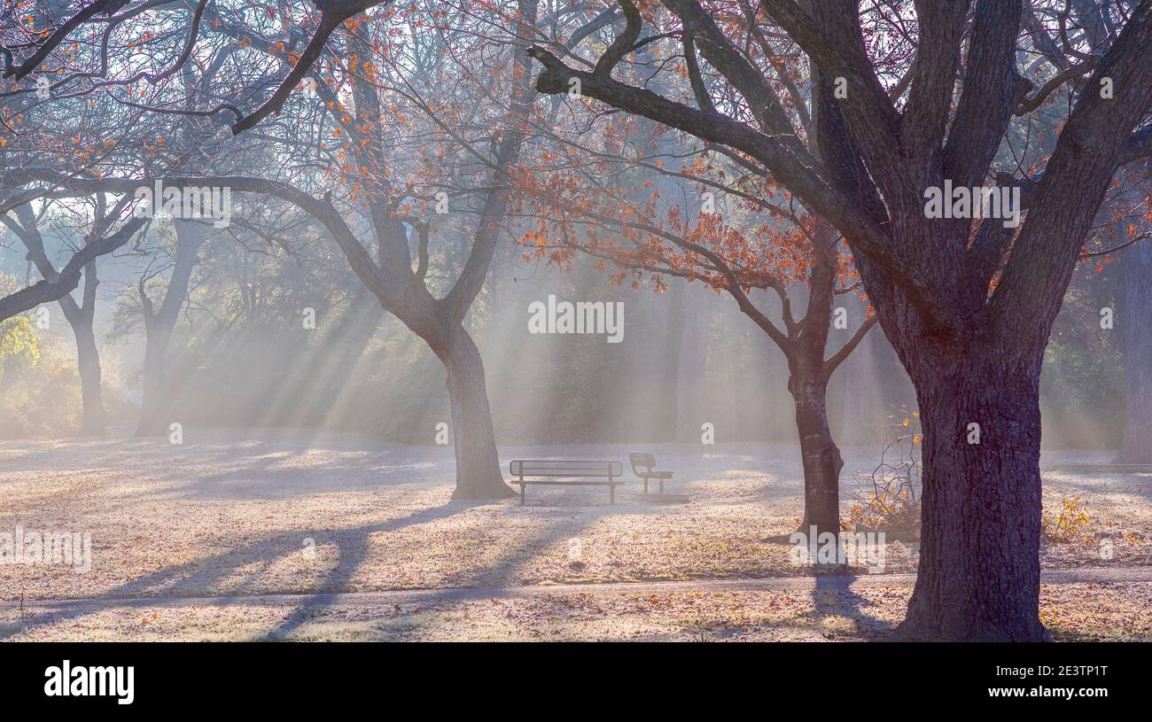 Sunlight architecture hi-res stock photography and images - Alamy