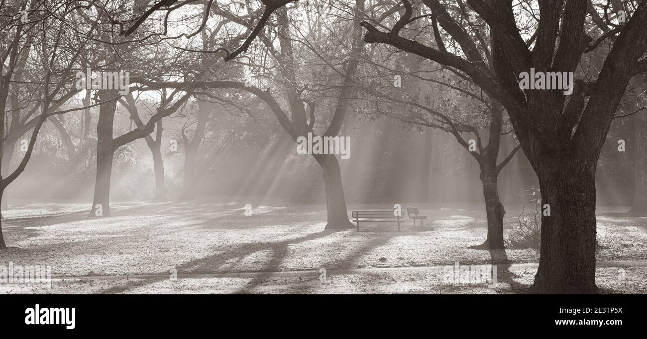 Sunlight architecture hi-res stock photography and images - Alamy