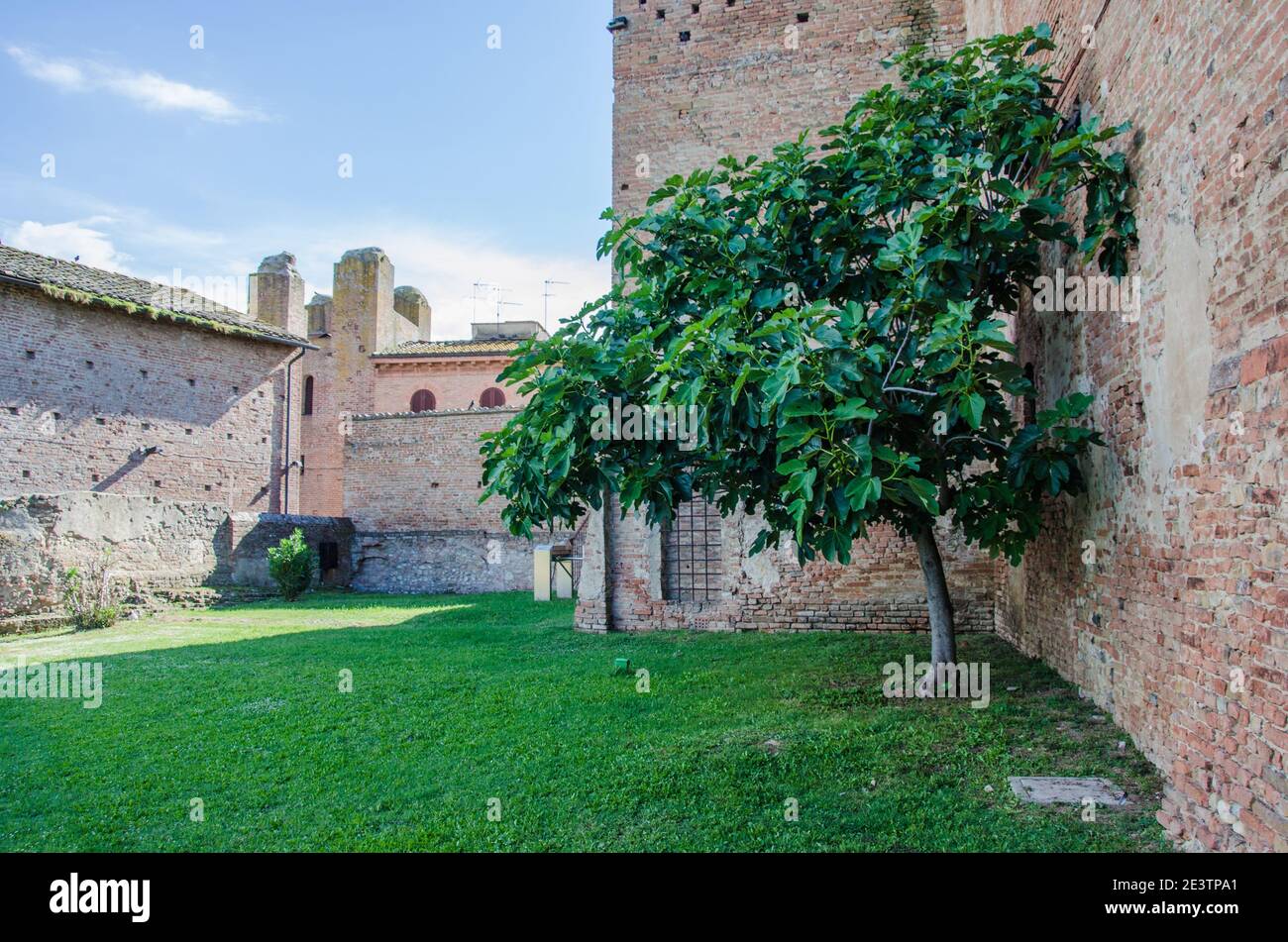 The ancient beautiful castle with tree in the garden. High quality ...