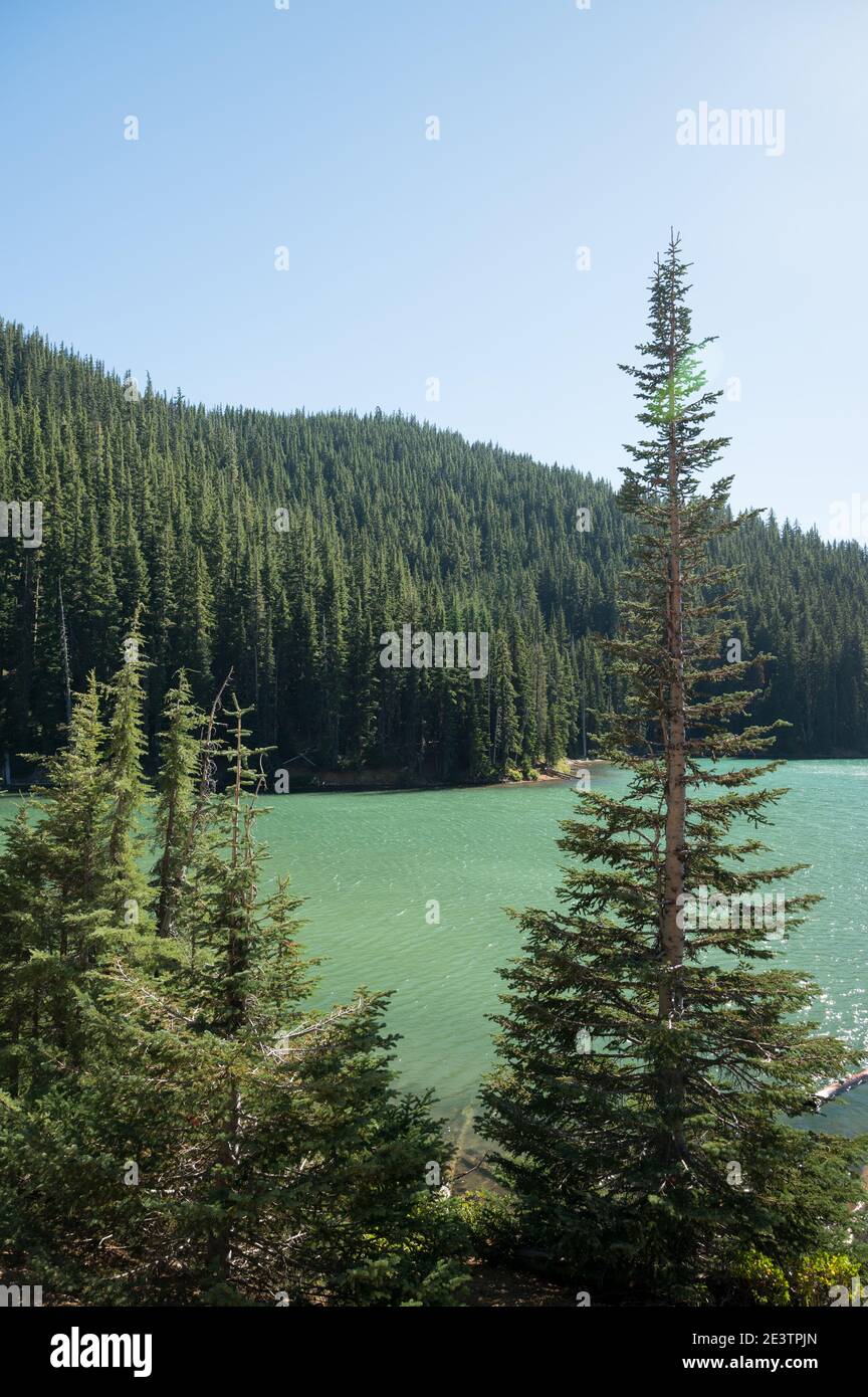 Emerald green color hi-res stock photography and images - Alamy