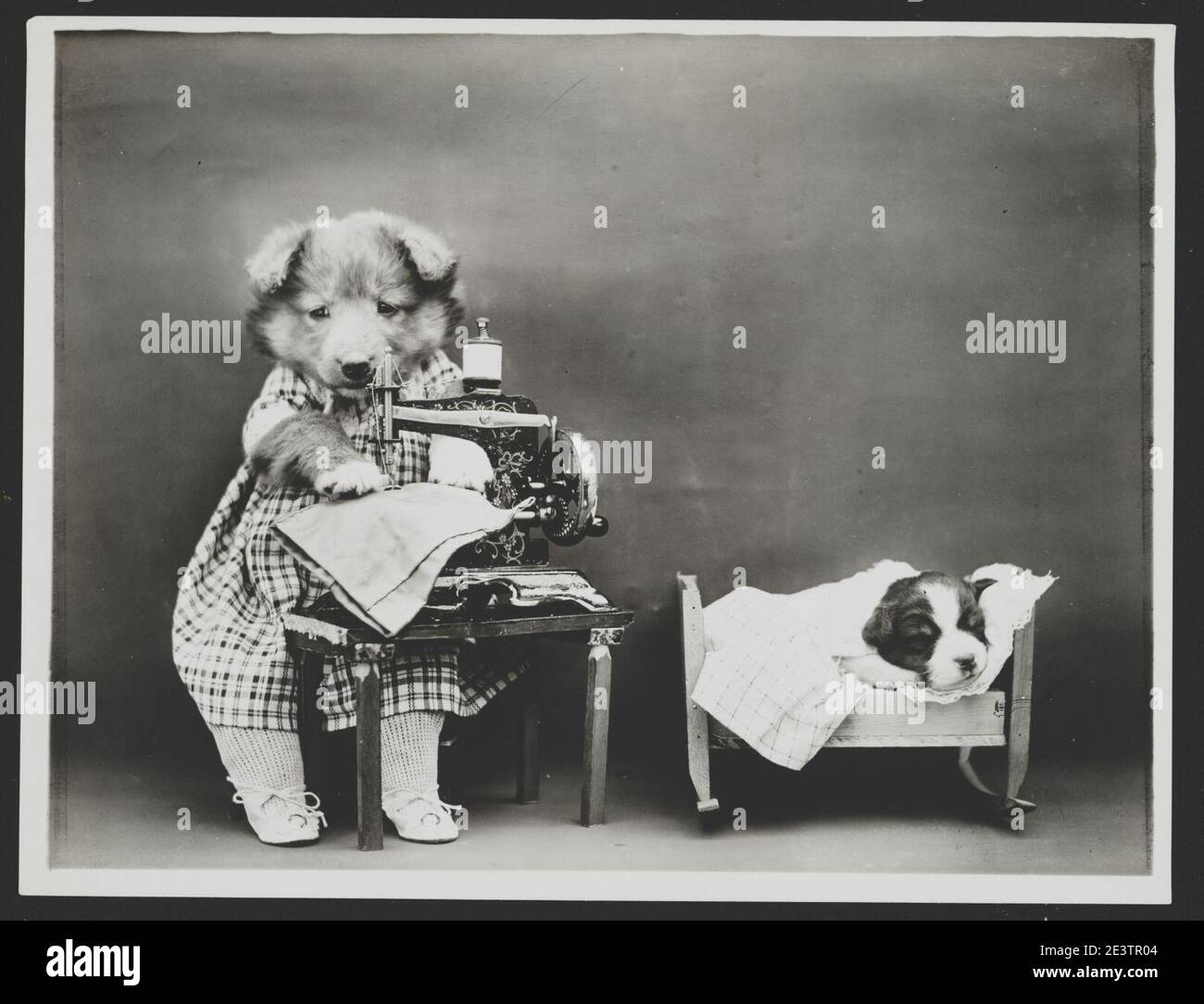 Making baby's clothes Stock Photo - Alamy