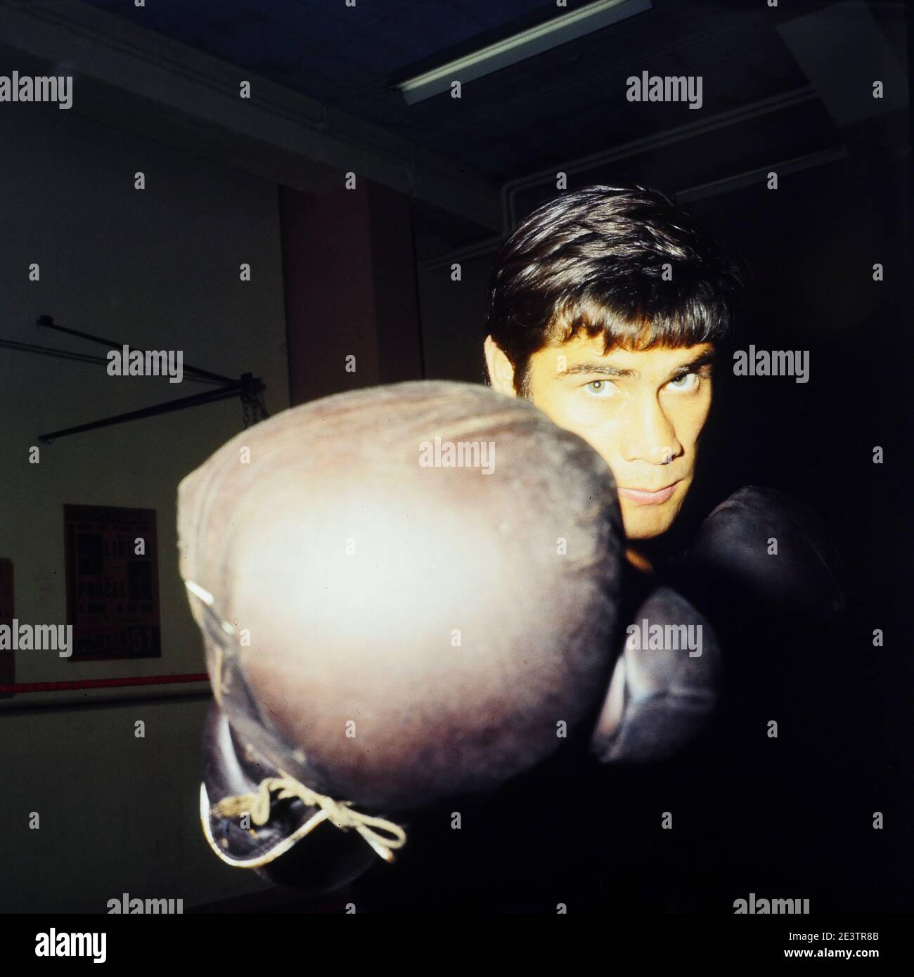 French boxer Roger Menetrey at home, 1970 Stock Photo - Alamy