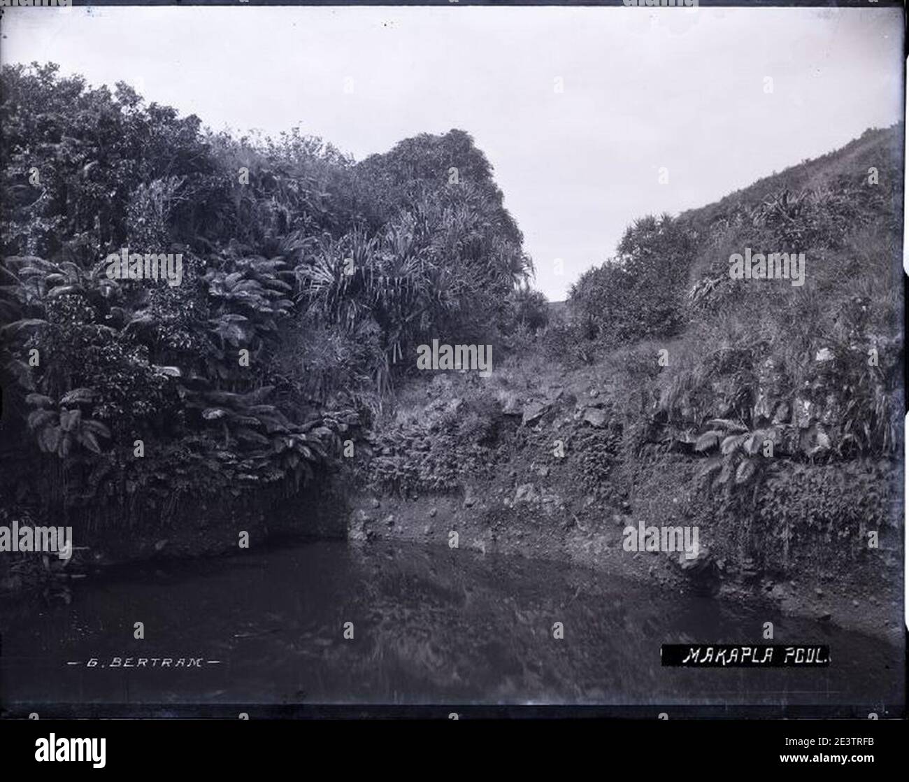 Makapala hi-res stock photography and images - Alamy