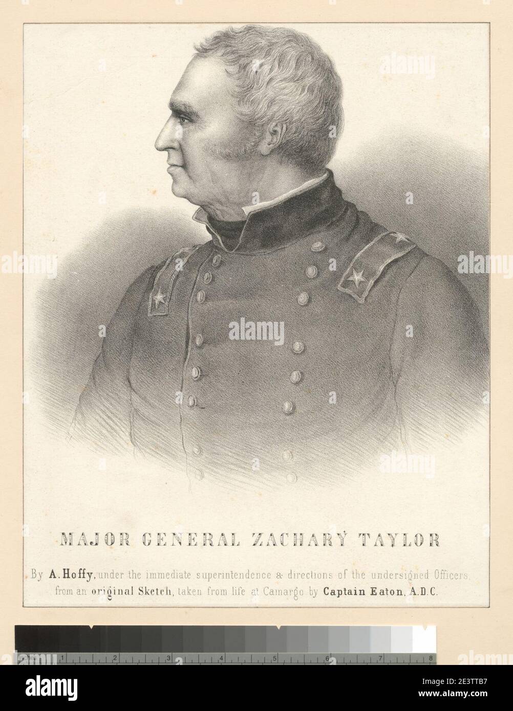 Major General Zachary Taylor High Resolution Stock Photography and ...