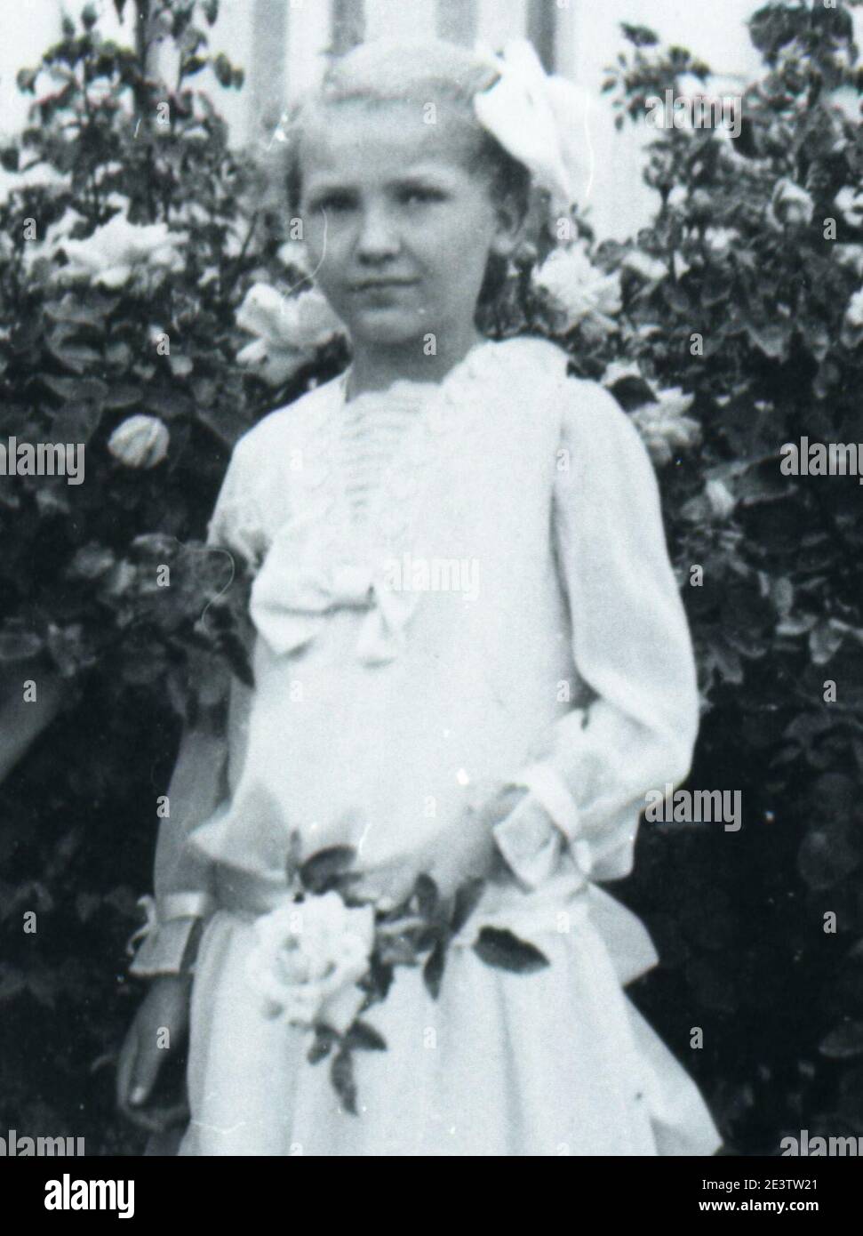 Majola hi-res stock photography and images - Alamy