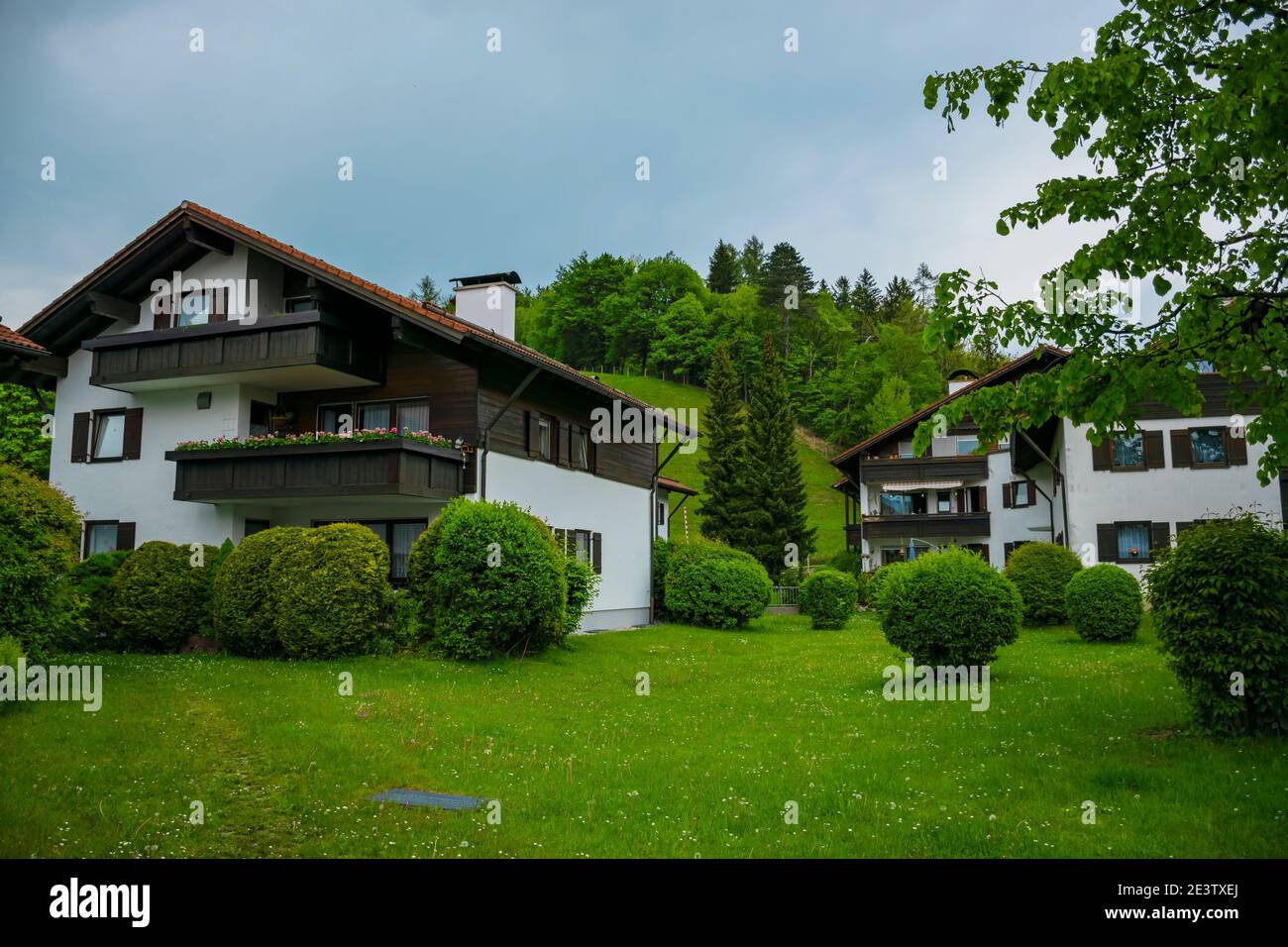 Cozy alpine houses with wooden roofs lost in green rainy valley among ...