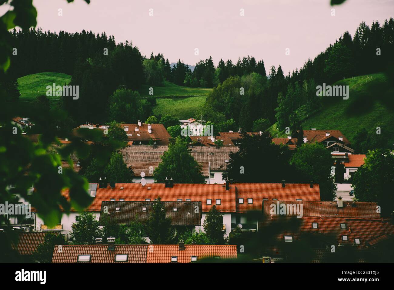 Cozy alpine houses with wooden roofs lost in green rainy valley among ...