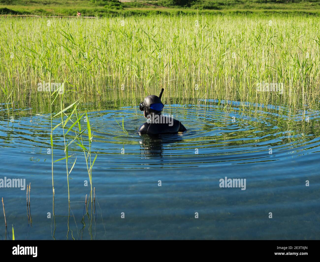 Tube diver in lake summer hi-res stock photography and images - Alamy