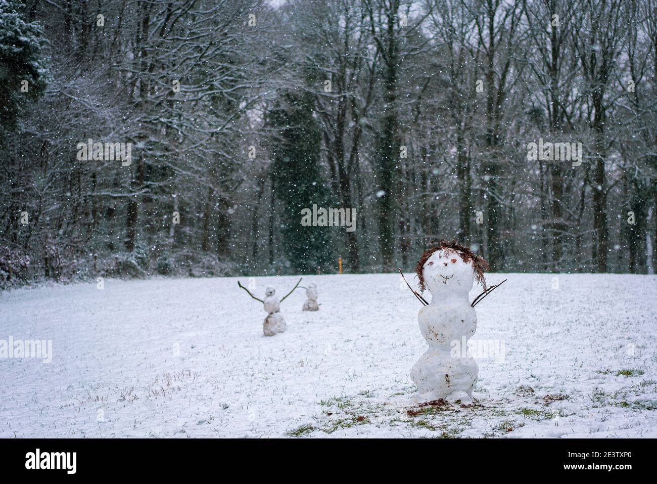 Snowman in the snowy winter landscape Stock Photo - Alamy