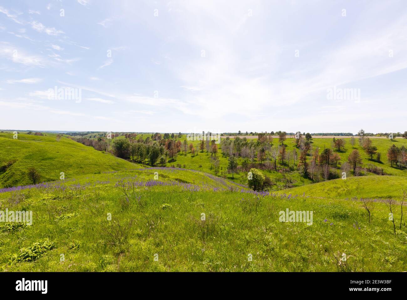 wide green fields with a gorge Stock Photo - Alamy