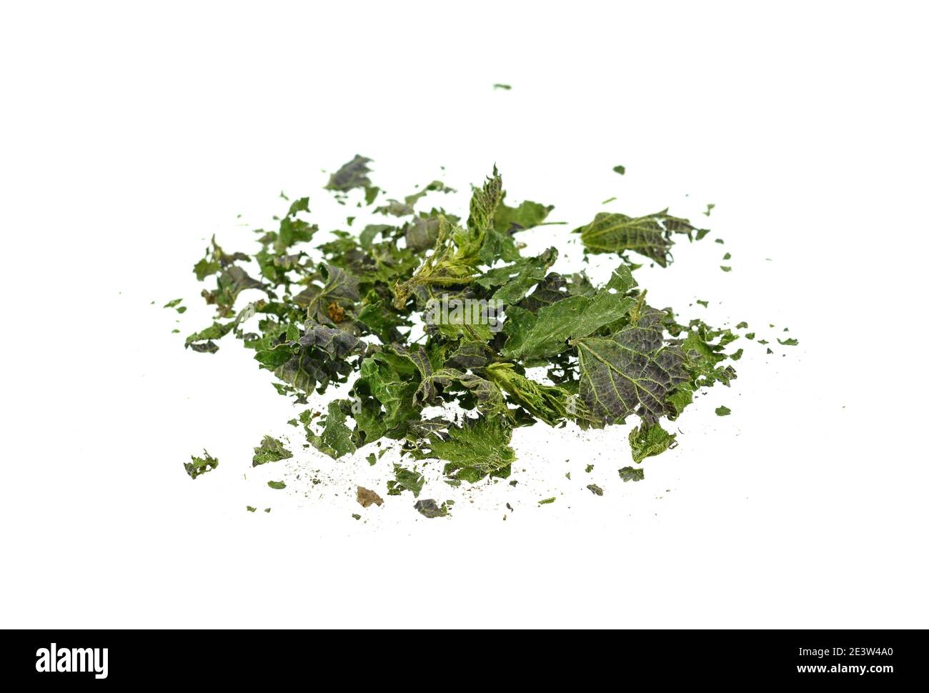 Closeup of dried nettle, heap of dried nettle isolated. Dry cut nettle ...