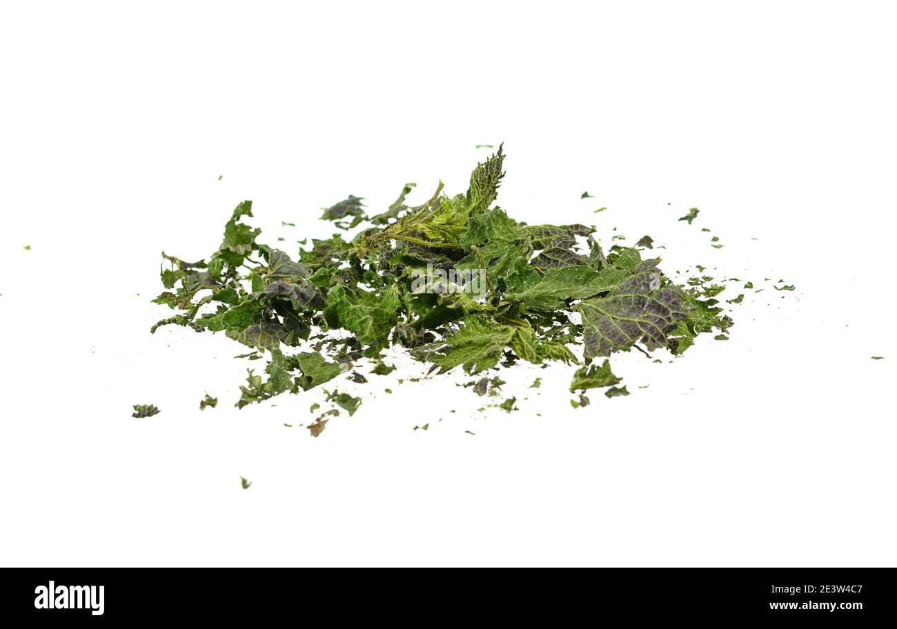 Closeup of dried nettle, heap of dried nettle isolated. Dry cut nettle ...