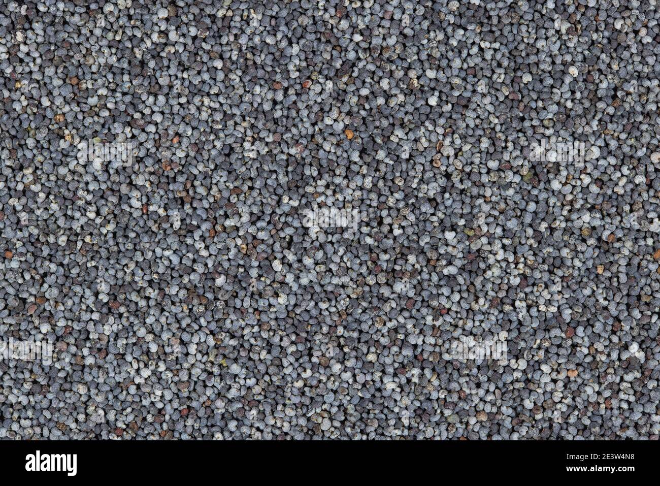 Poppy seed background texture. Background of raw Poppy seeds Stock ...