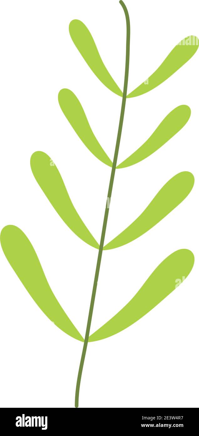 breanch with green color leaves nature icons vector illustration design ...
