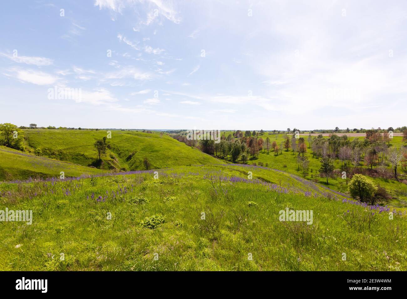 Deep Narrow Gorge High Resolution Stock Photography and Images - Alamy