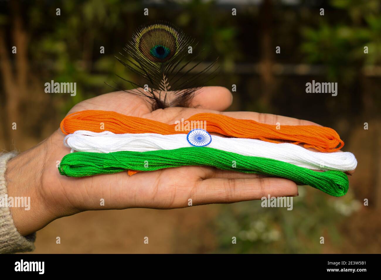 Indian flag tricolor tiranga saffron, white and green embroidery ...