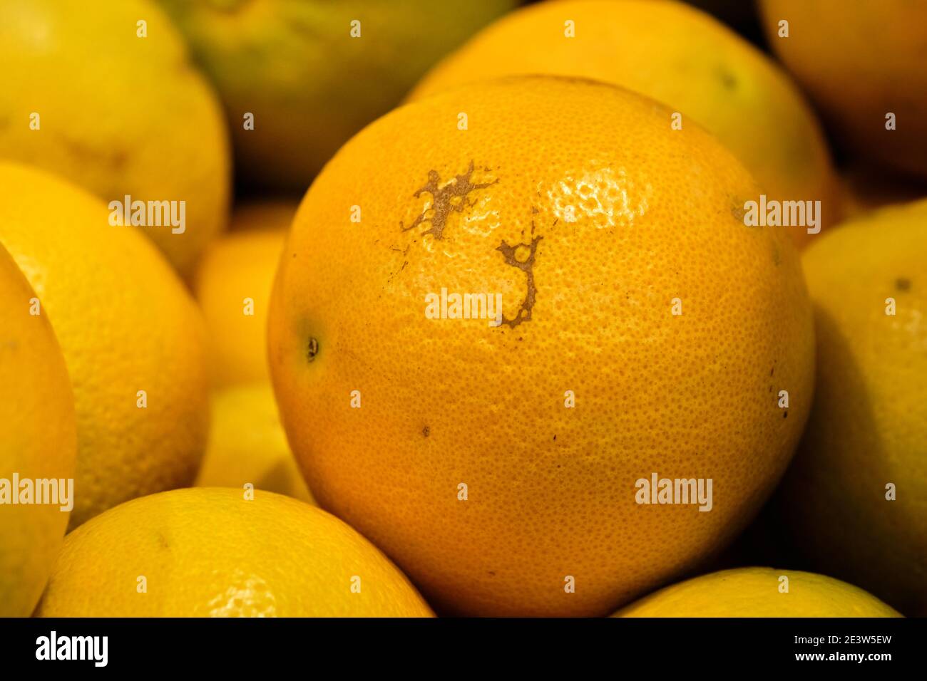 Big oranges hi-res stock photography and images - Alamy