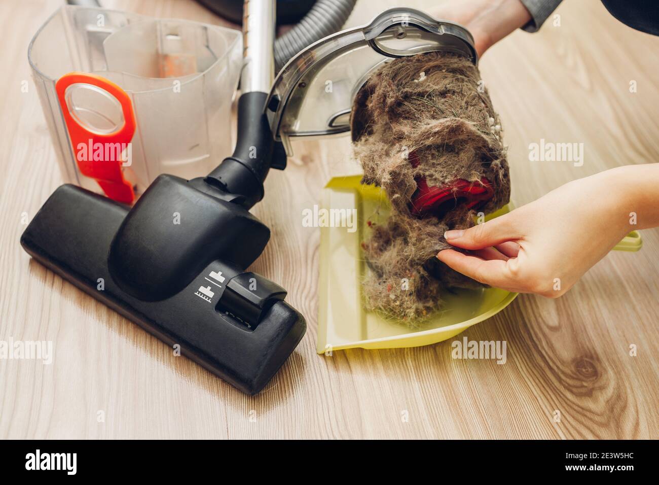 Woman removes garbage and cat's hair from dust filter of vacuum cleaner ...