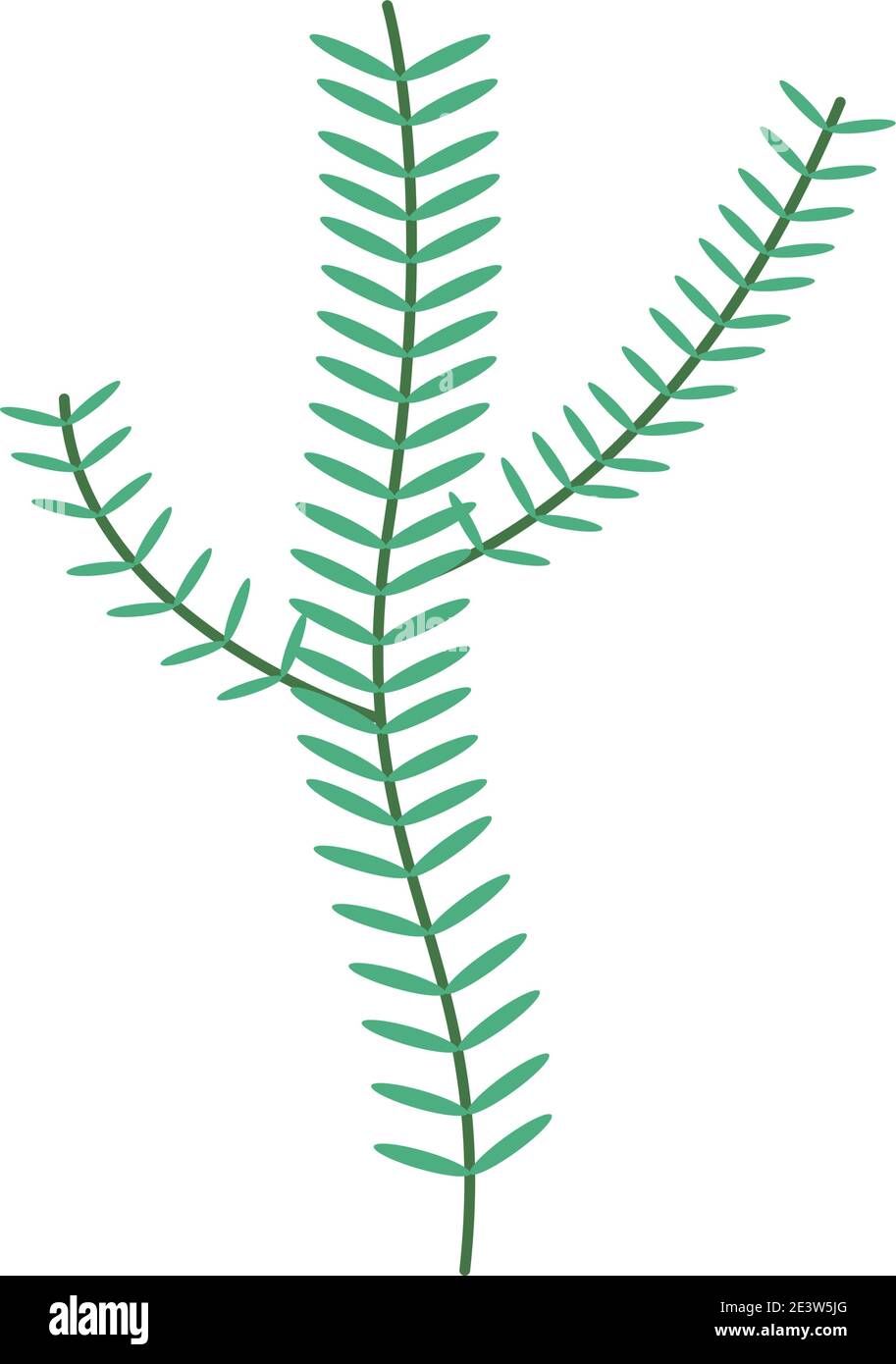 breanch with green color leaves nature icons vector illustration design ...