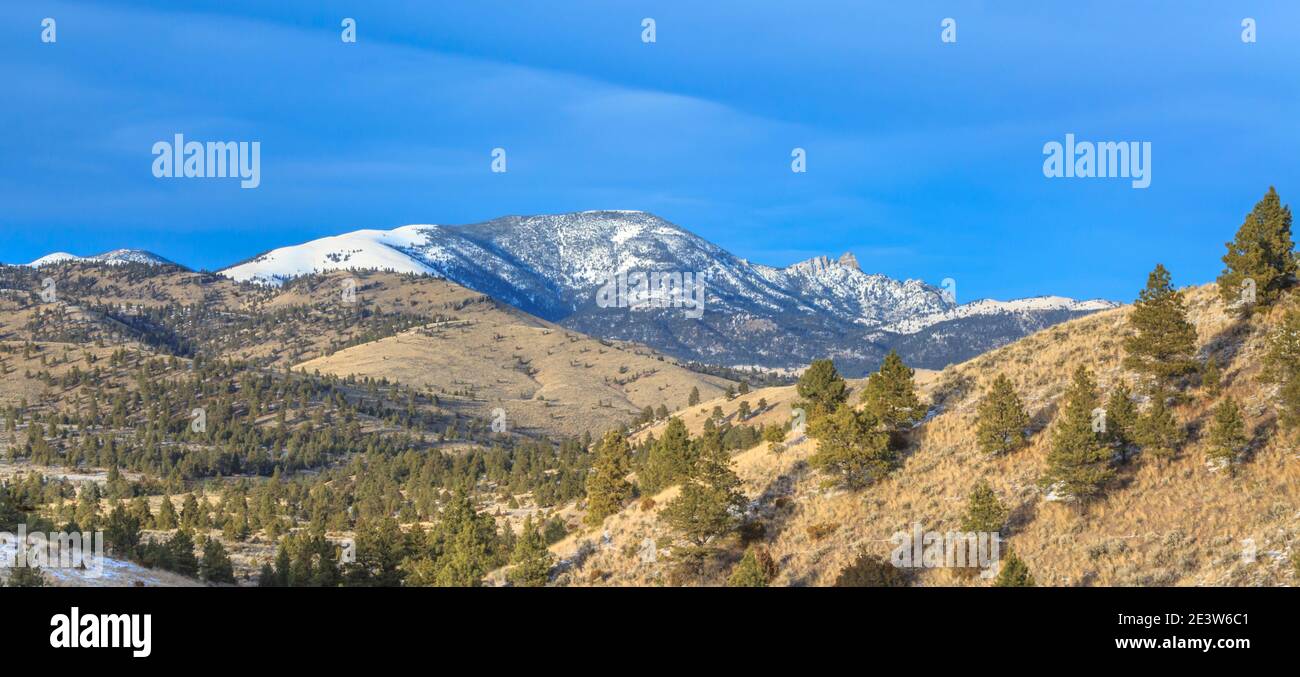 Mt d7003 hi-res stock photography and images - Alamy