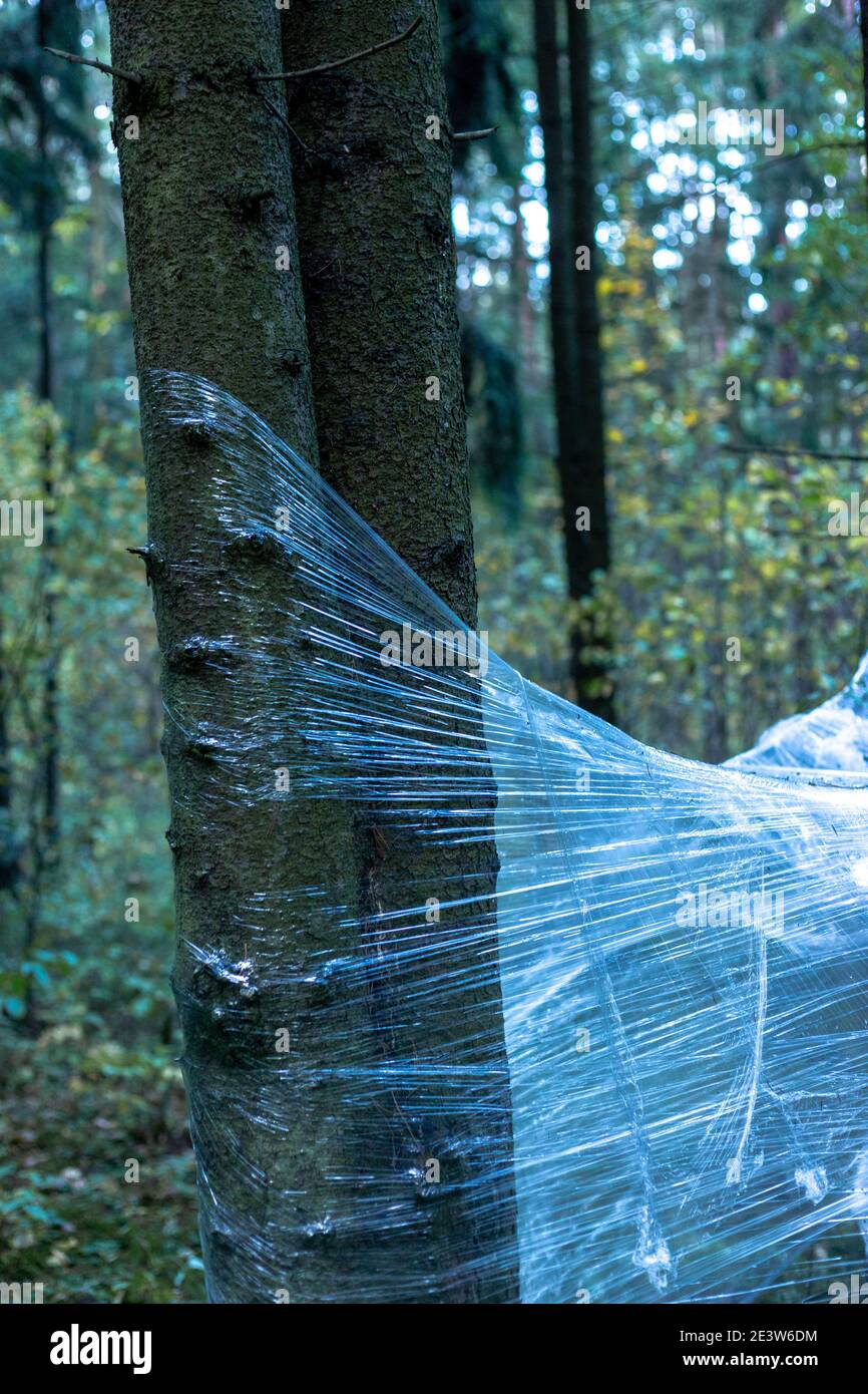 Plastic bag stuck in tree hi-res stock photography and images - Alamy