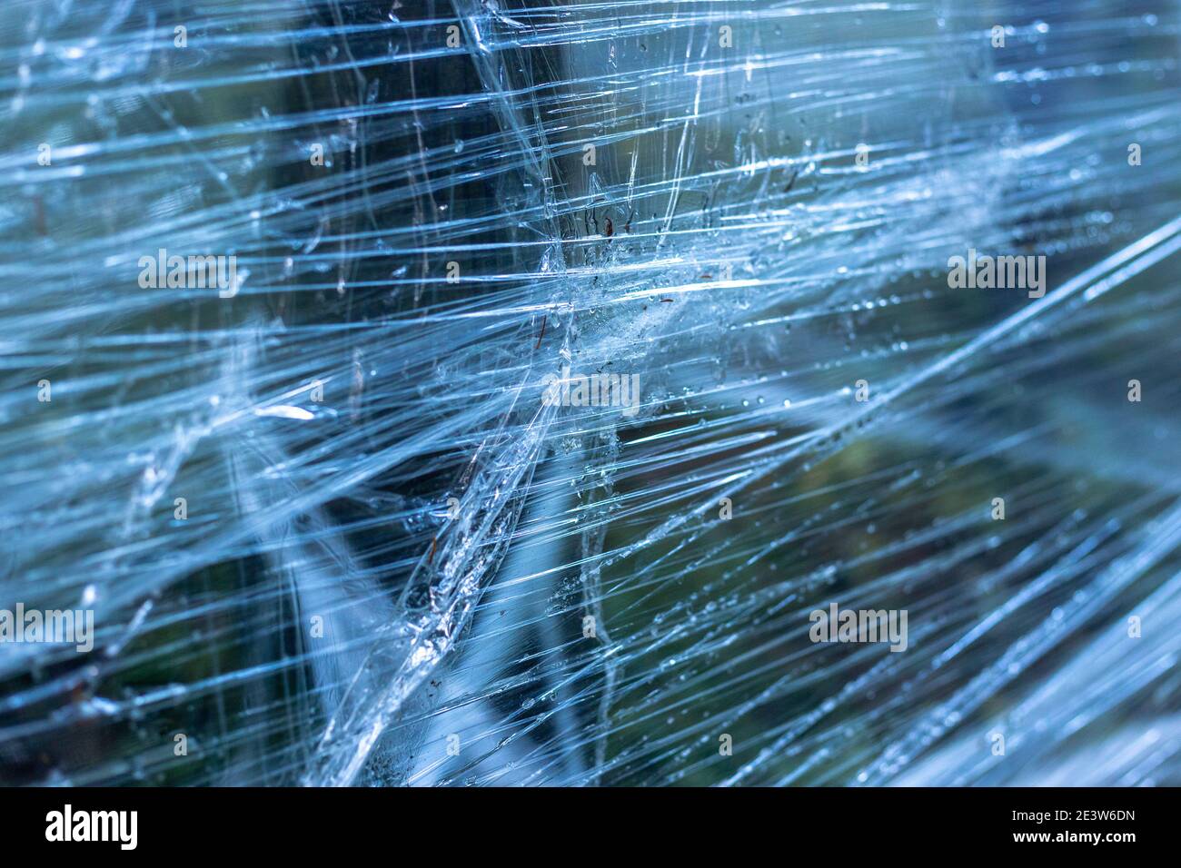 Plastic wrap on trees in the forest Stock Photo - Alamy