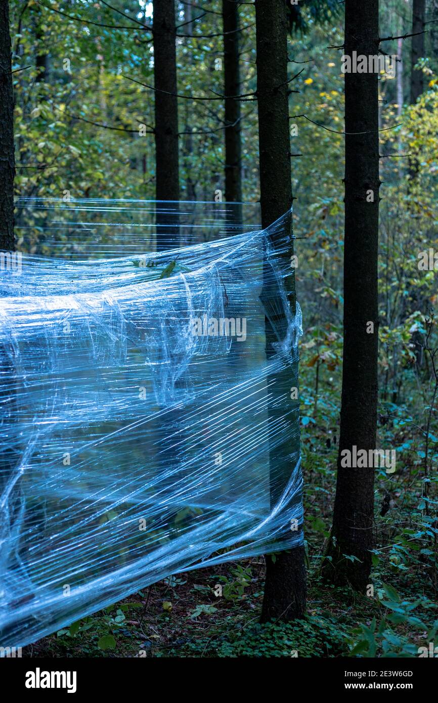 Plastic wrap on trees in the forest Stock Photo - Alamy