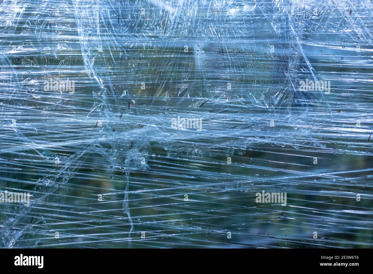 Plastic wrap on trees in the forest Stock Photo - Alamy