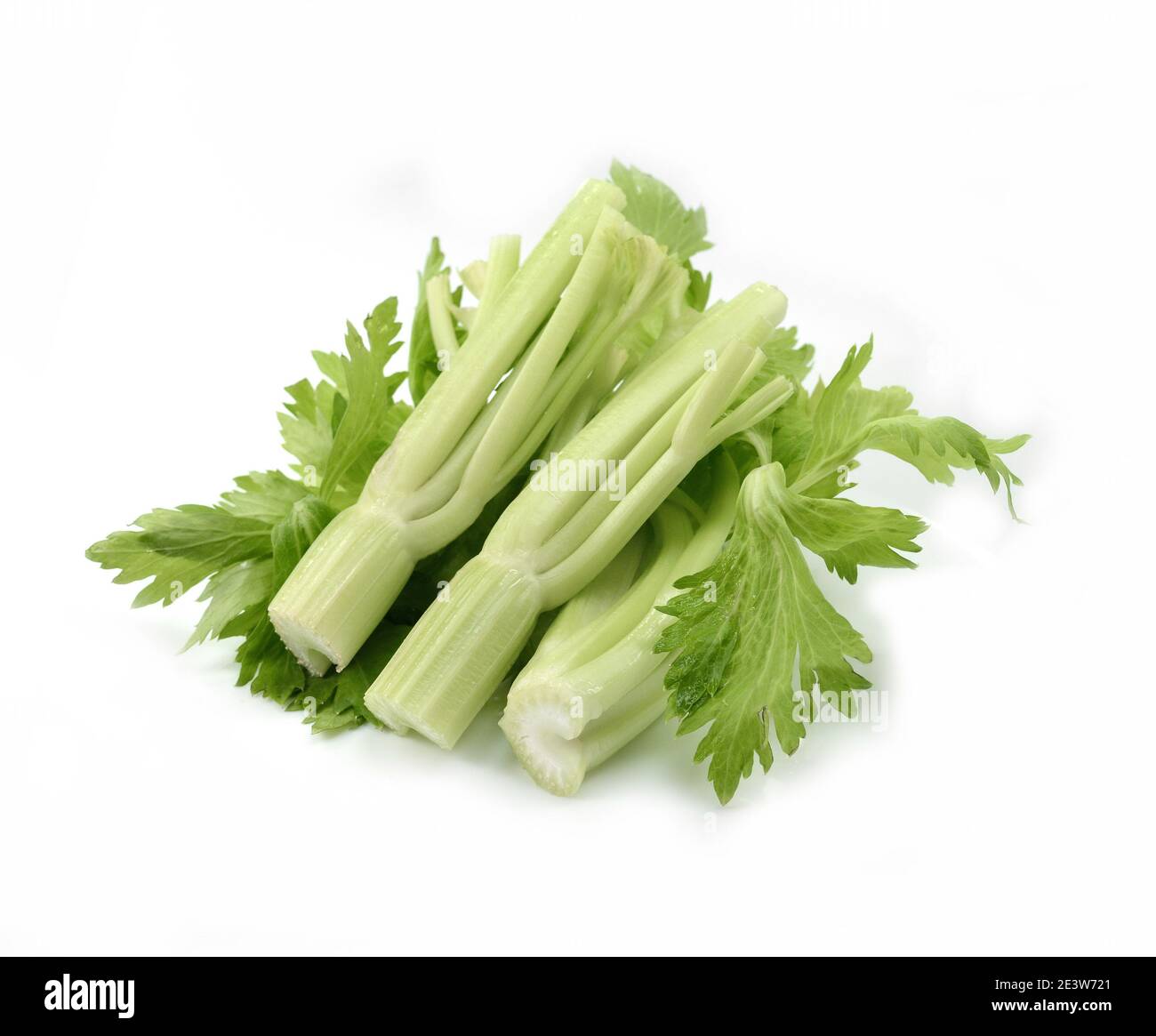 fresh green celery isolated on white background Stock Photo - Alamy