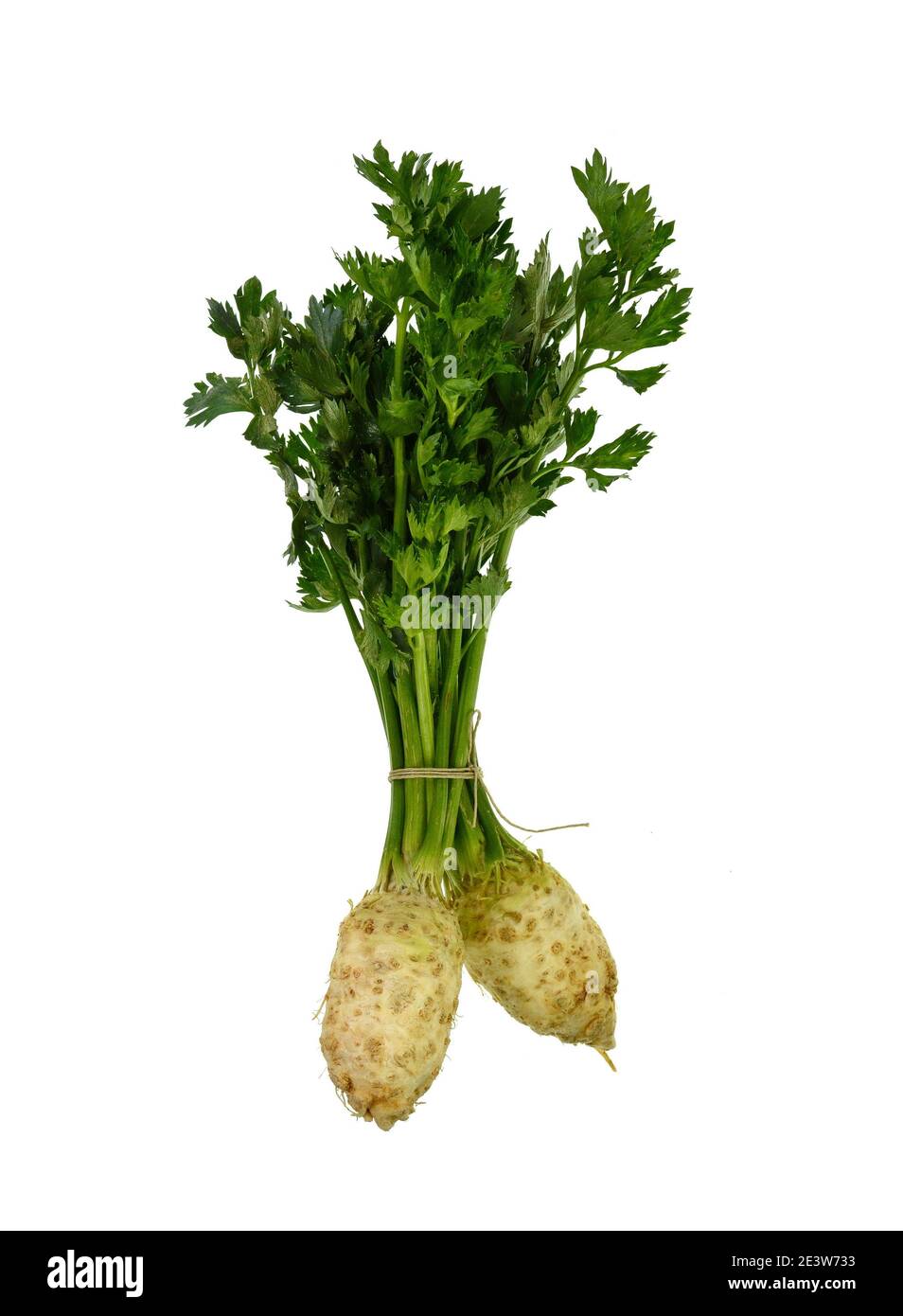 Fresh celery root with leaf isolated on white background Stock Photo ...