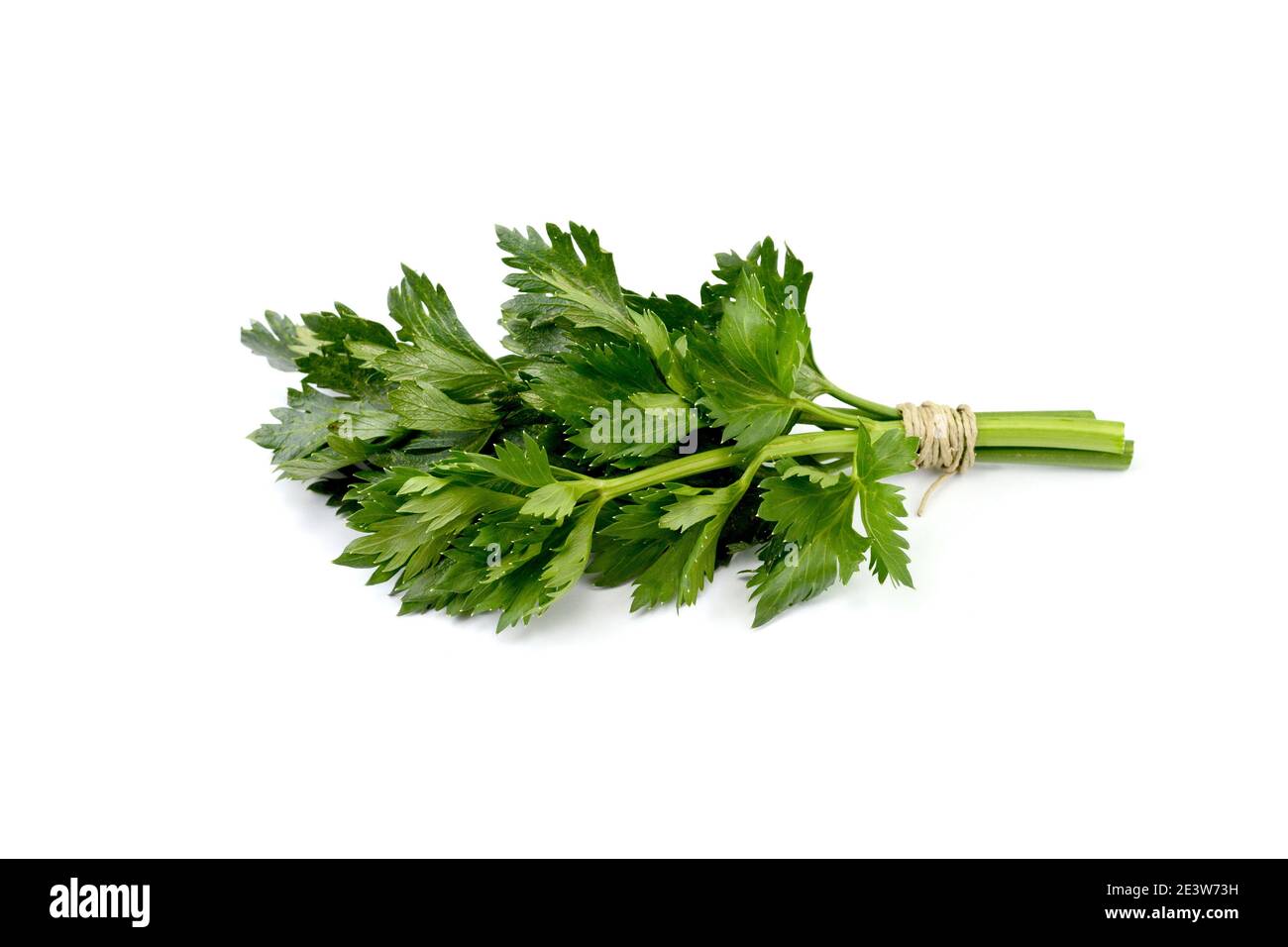 Celery branch and leaves isolated on white background Stock Photo - Alamy