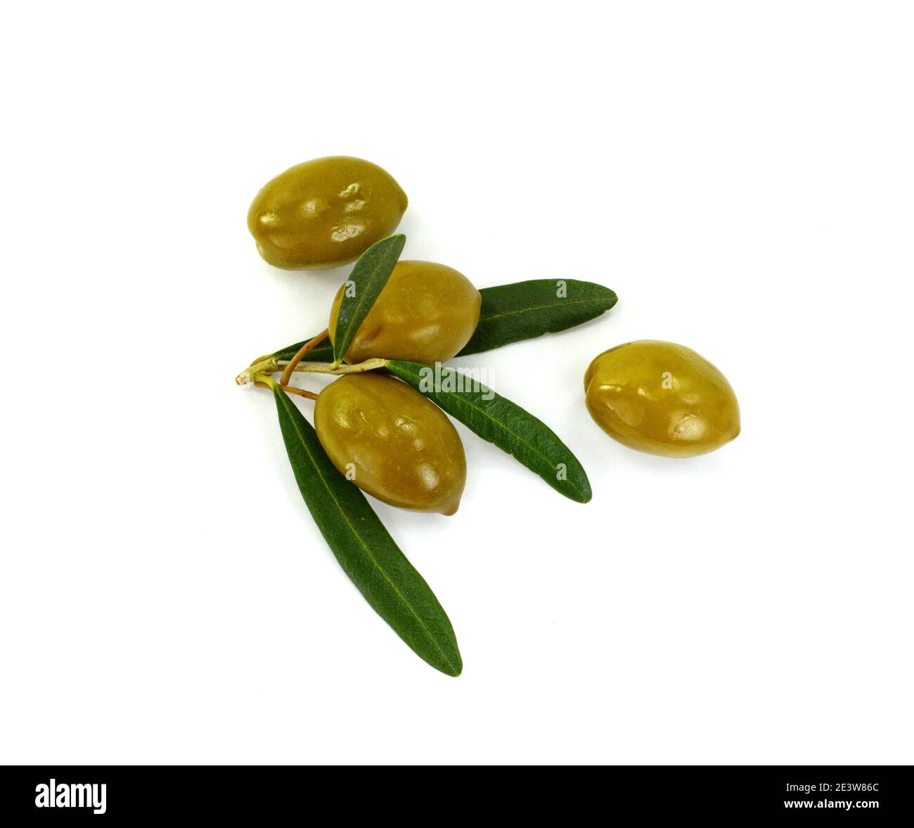Olive branch with three green olives, isolated on white background ...