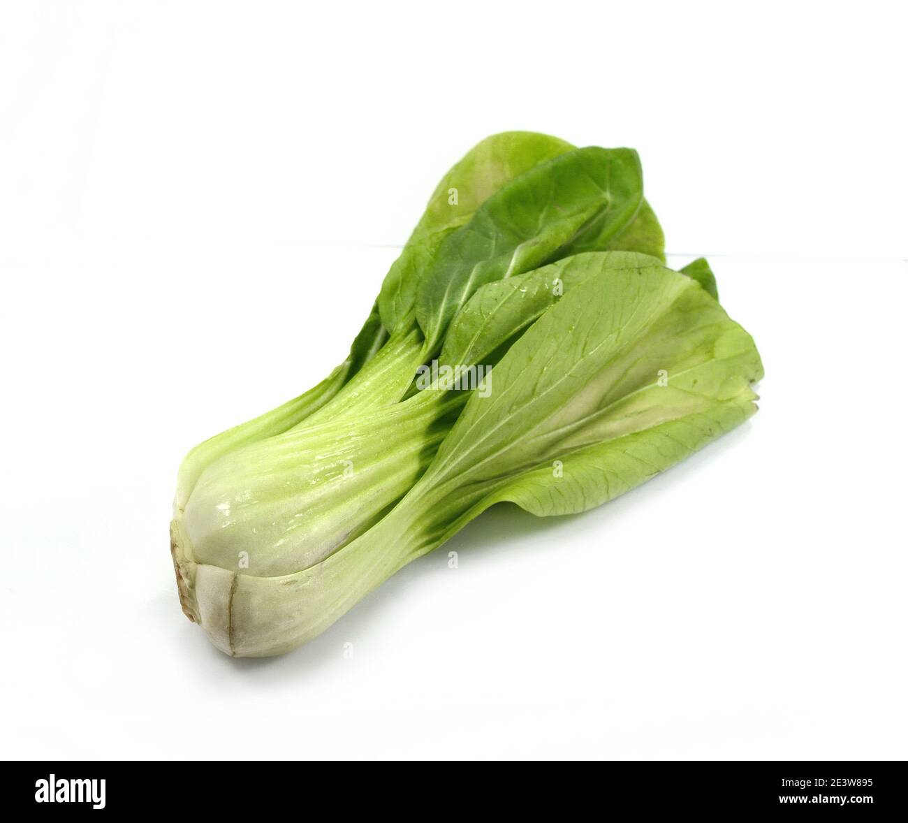 Fresh pak choi cabbage or chinese cabbage, isolated on white background ...