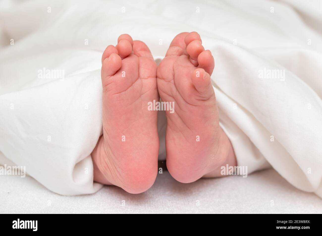 Newborn baby feet in bed under white blanket Stock Photo - Alamy