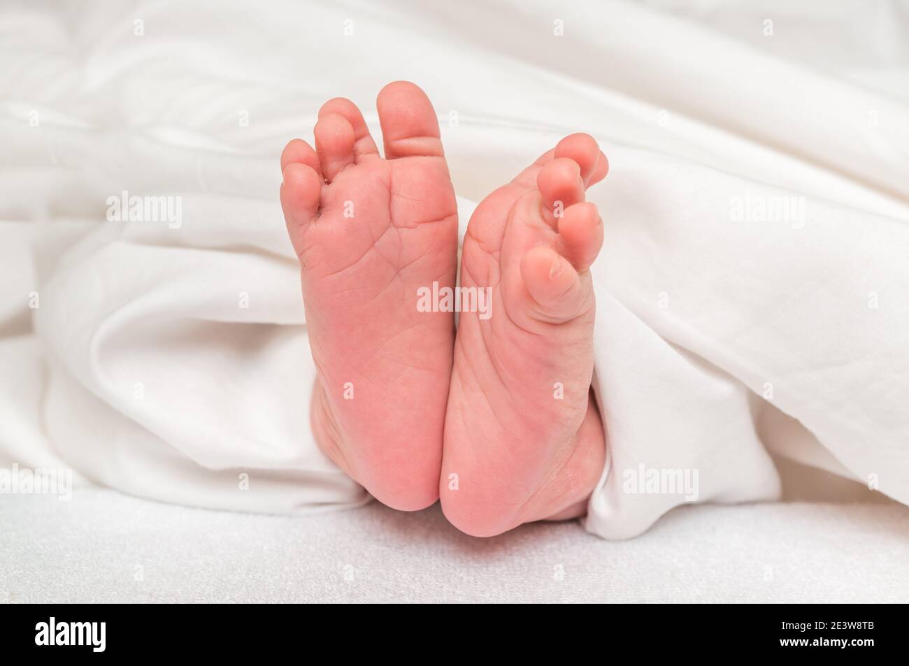 Newborn baby feet in bed under white blanket Stock Photo - Alamy