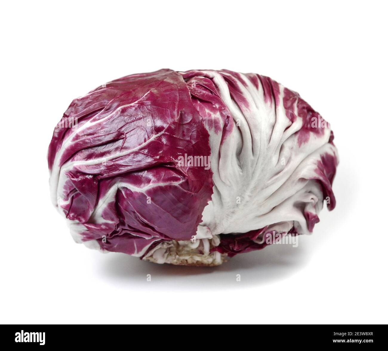 Radicchio, red salad isolated on white background. Red cabbage Stock ...