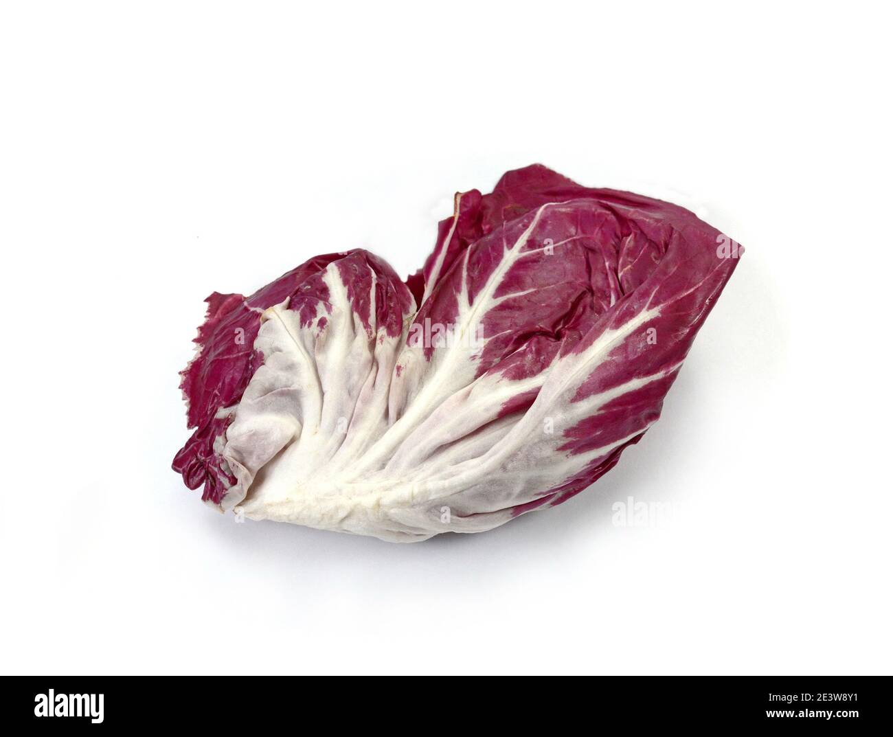 Radicchio, red salad isolated on white background. Red cabbage Stock ...