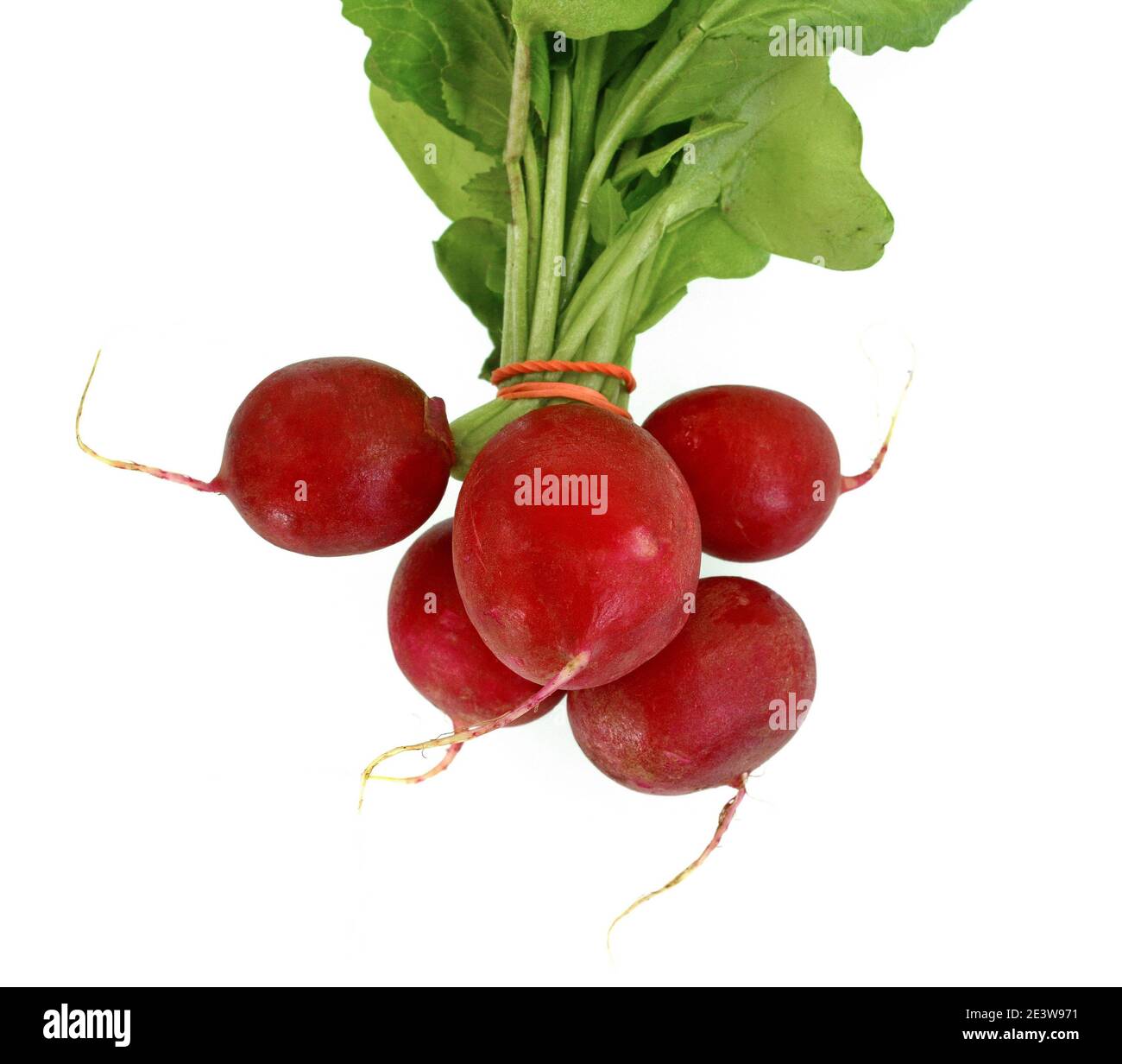 Group of five whole red radish with fresh green leaves isolated on ...